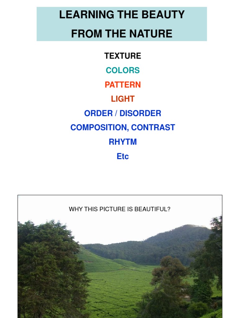 Learning The Beauty From The Nature: Texture | PDF