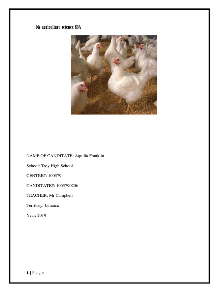 Specimen Paper Cpea Social Studies | PDF | Food And Drink | Nature