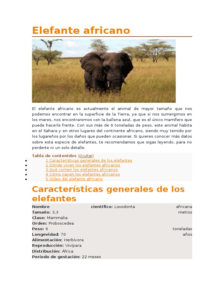 Características del elefante africano | PDF | África | Organismos