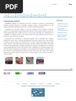 Container Damage Report | PDF | Nature