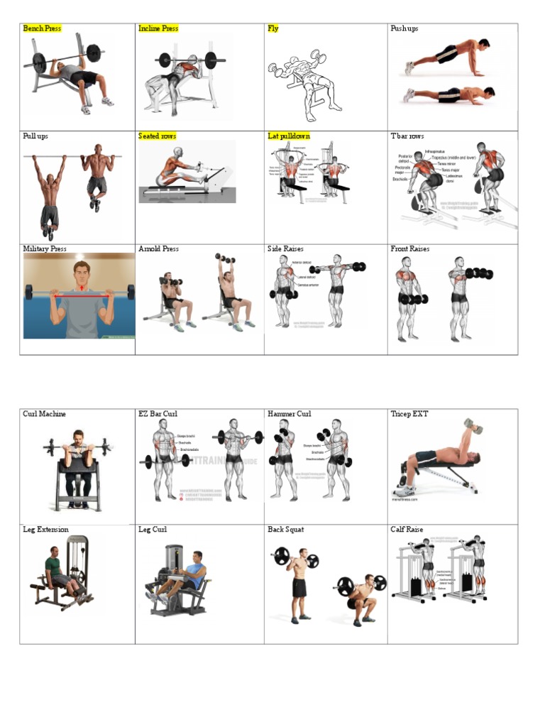 Fly Pushups and Bench Press Guide | PDF