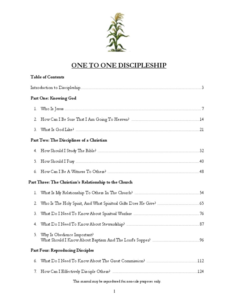 One To One Discipleship PDF | PDF | Disciple (Christianity) | Eternal ...