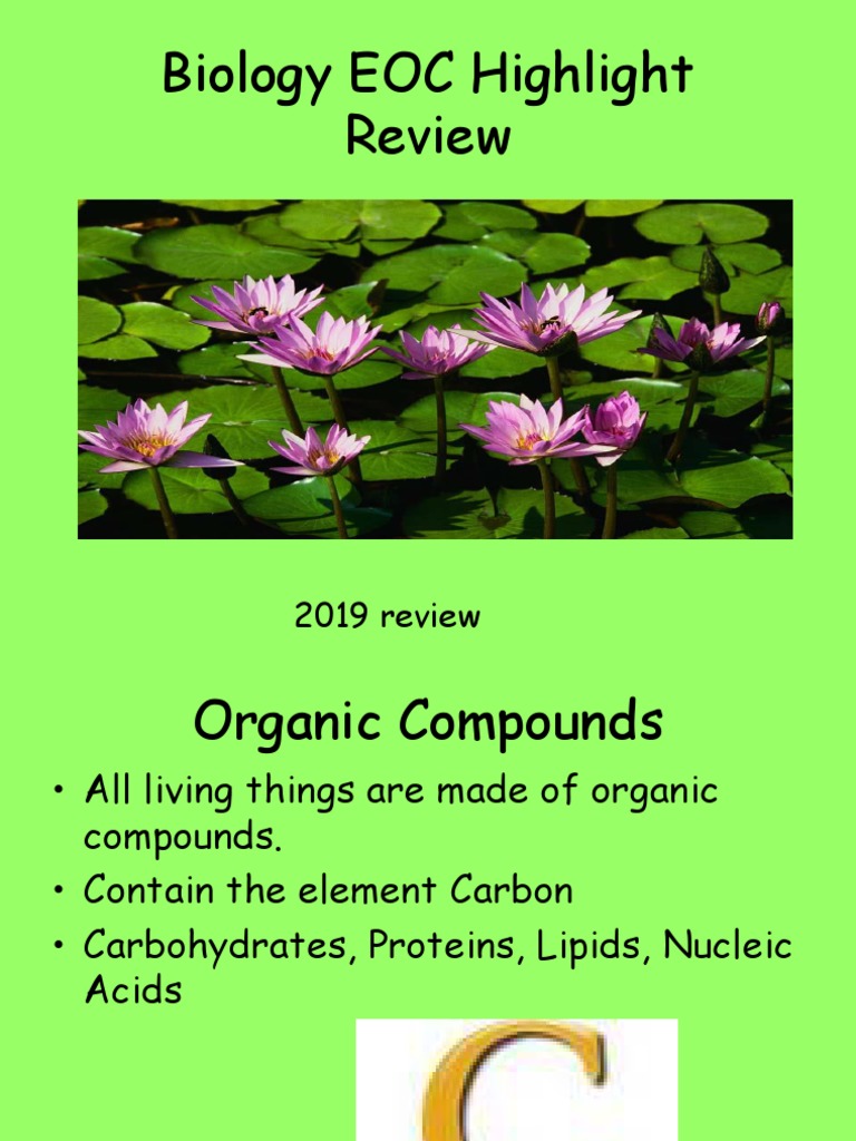 Biology EOC Highlight Review | PDF | Meiosis | Dominance (Genetics)