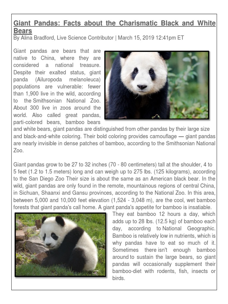 Third Grade Intensive Course - Giant Pandas | PDF | Giant Panda | Argument