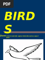 A To Z Birds Names List in English With Pictures PDF | PDF