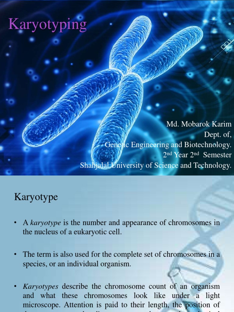 A Comprehensive Overview of Karyotyping: Its Process, Applications in ...