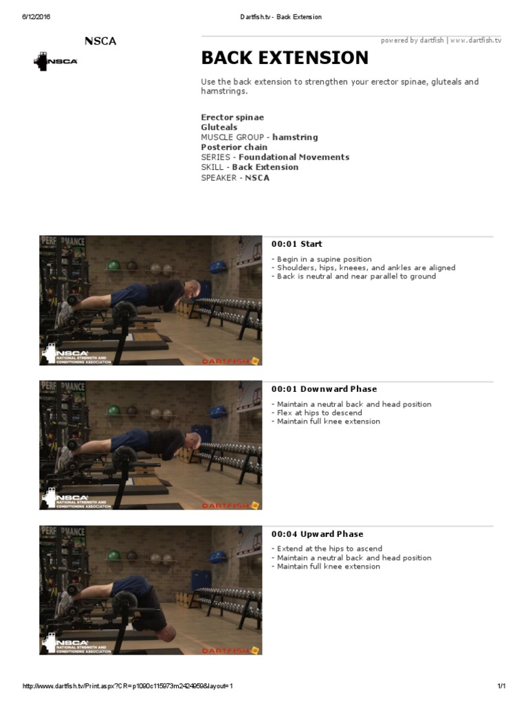 Back Extension | PDF | Anatomical Terms Of Motion | Musculoskeletal System