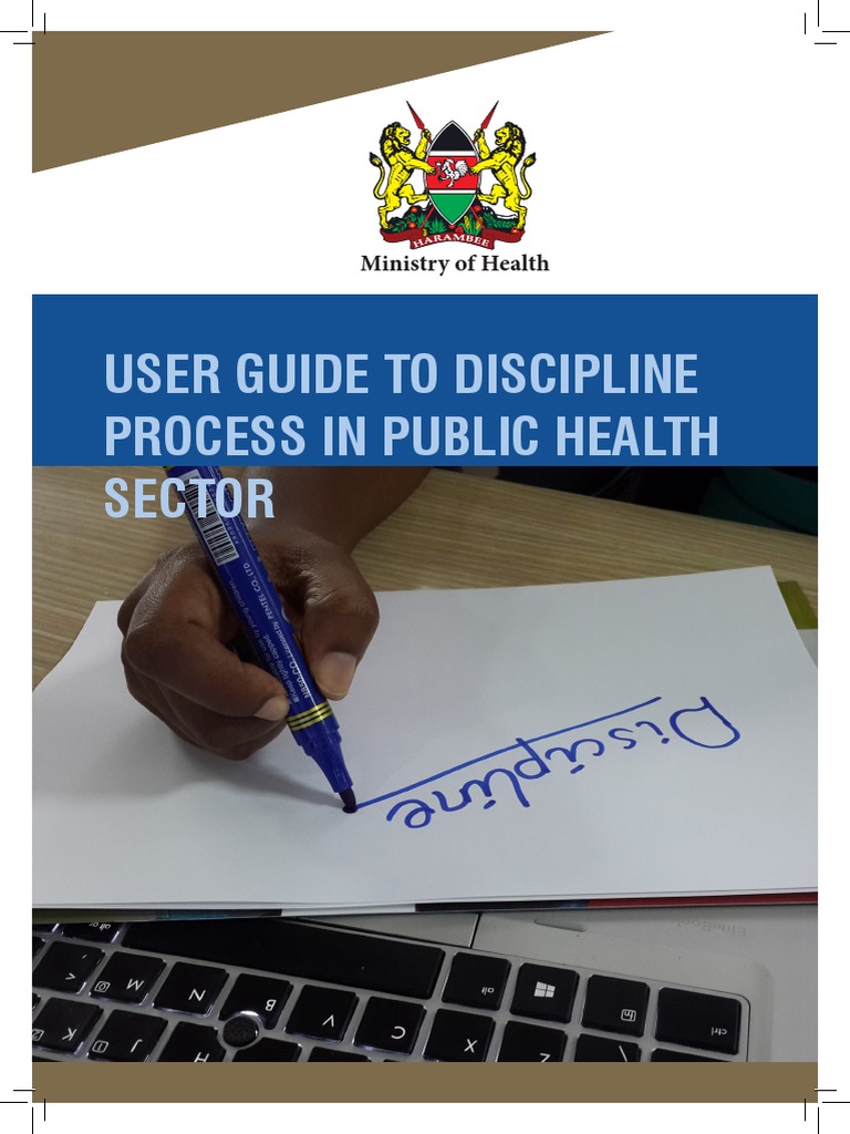 Public Health Sector Discipline Guide | PDF | Employment | Crime & Violence