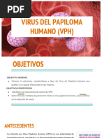 Triptíco VPH | PDF | Cáncer | Rtt