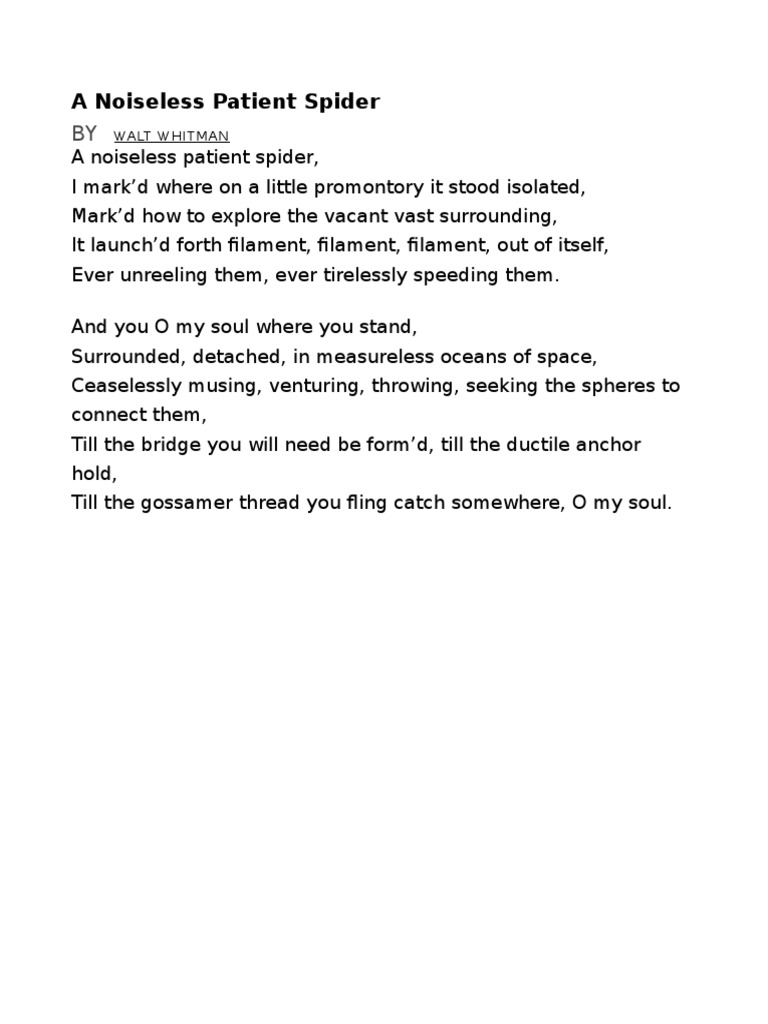 A Noiseless Patient Spider | PDF | Poetry | Young Adult