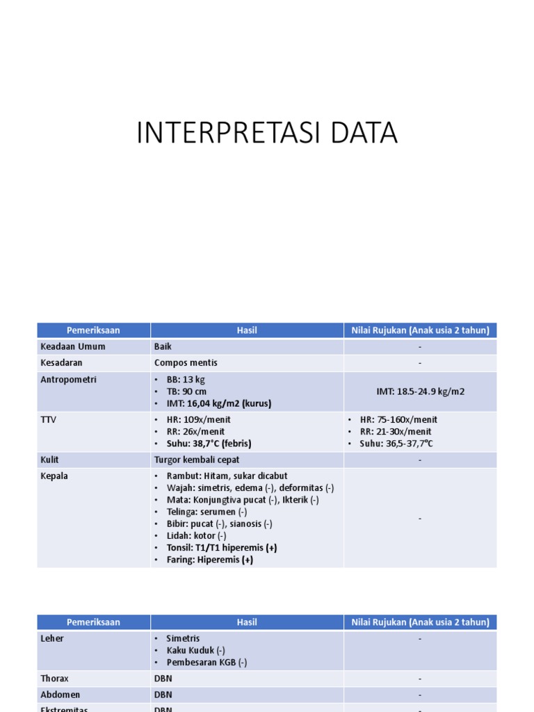 Interpretasi Data | PDF