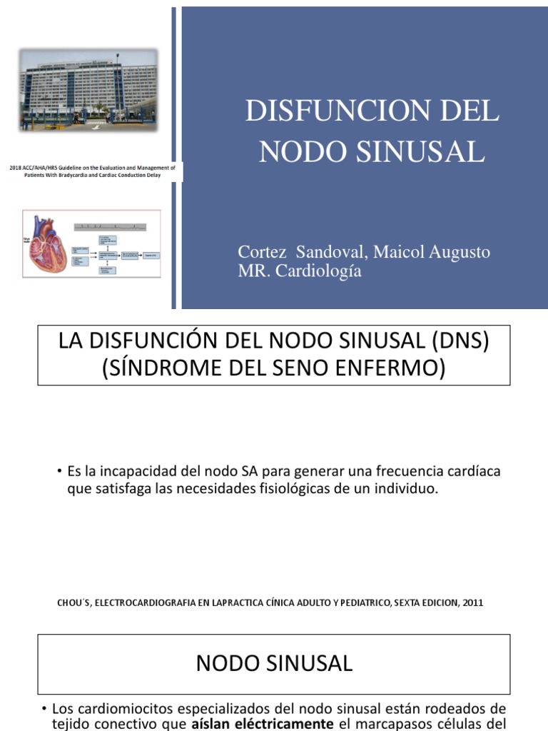 Disfuncion Del Nodo Sinusal | PDF | Sistema cardiovascular | Medicina ...