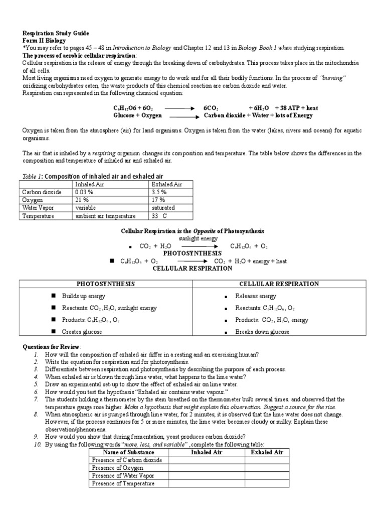 Composition of Inhaled Air and Exhaled Air | PDF | Cellular Respiration ...