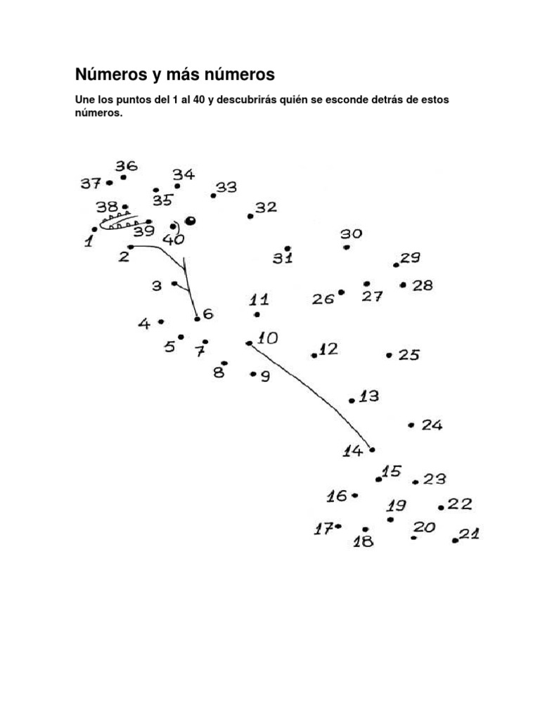 Números y Más Números | PDF