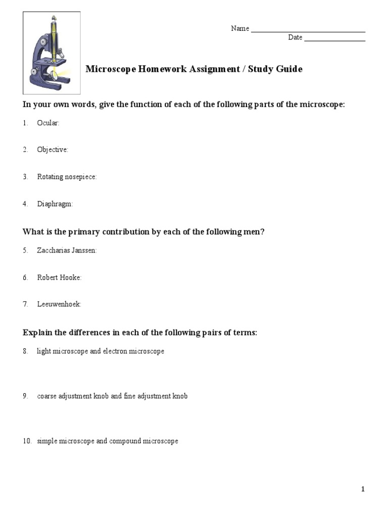 Microscope Homework Assignment / Study Guide | PDF | Microscope | Lens ...