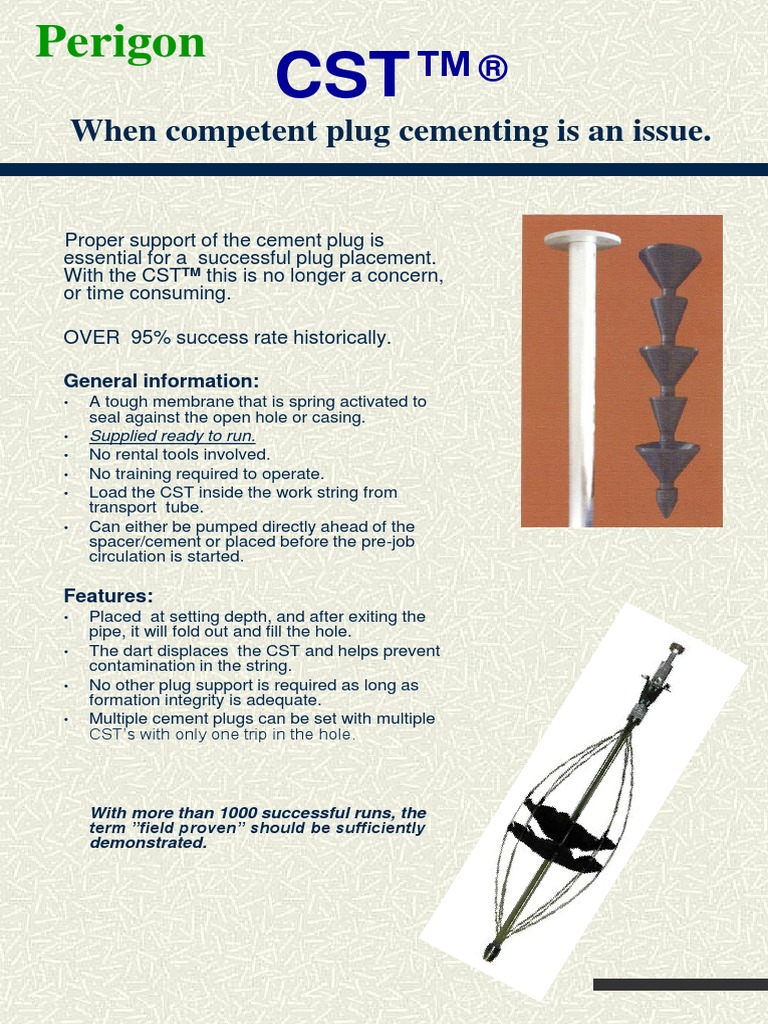 CST™ Cement Plug Installation Guide | PDF | Nature