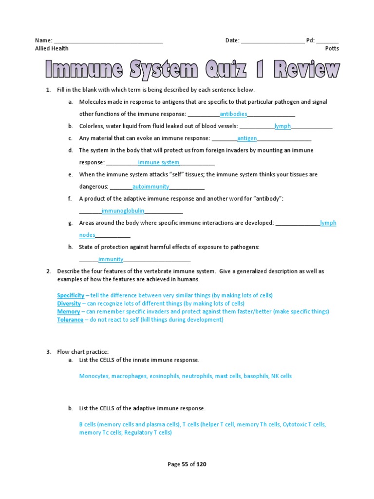 Immune System REVISION Answers | PDF | Adaptive Immune System | Immune ...