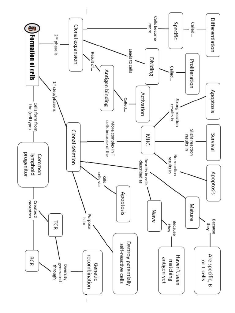 Immune System Mind Maps