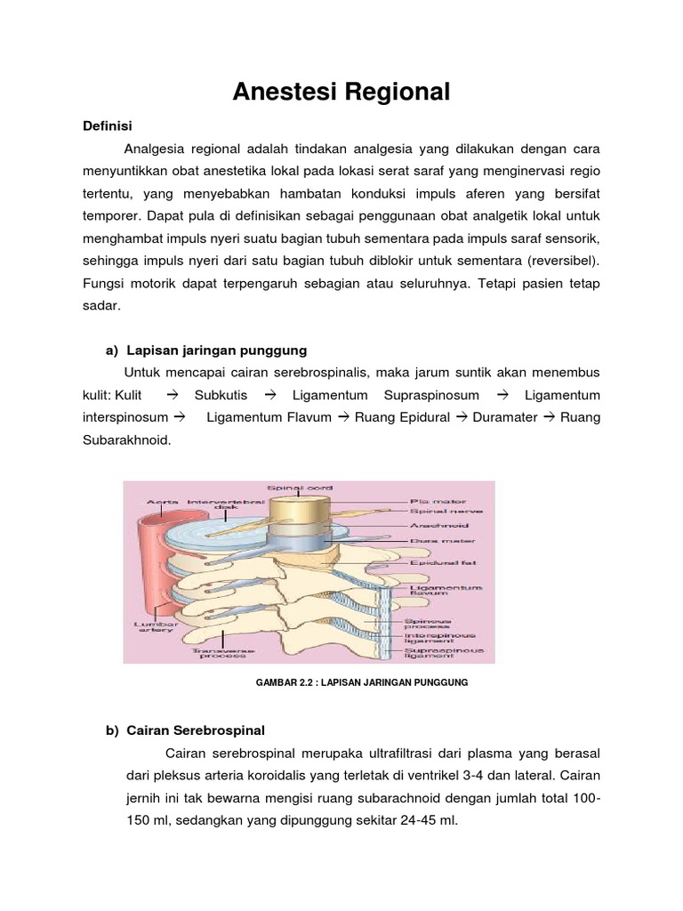 Anestesi Regional | PDF