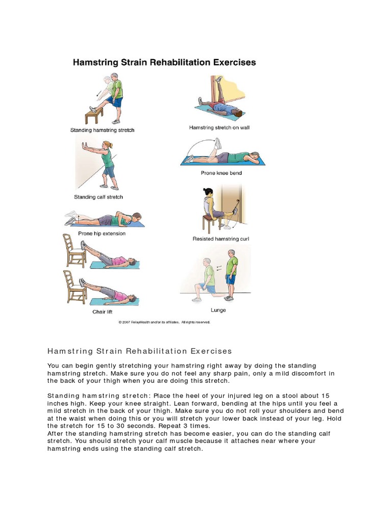 Hamstring Strain Rehabilitation Exercises | PDF | Chair | Foot
