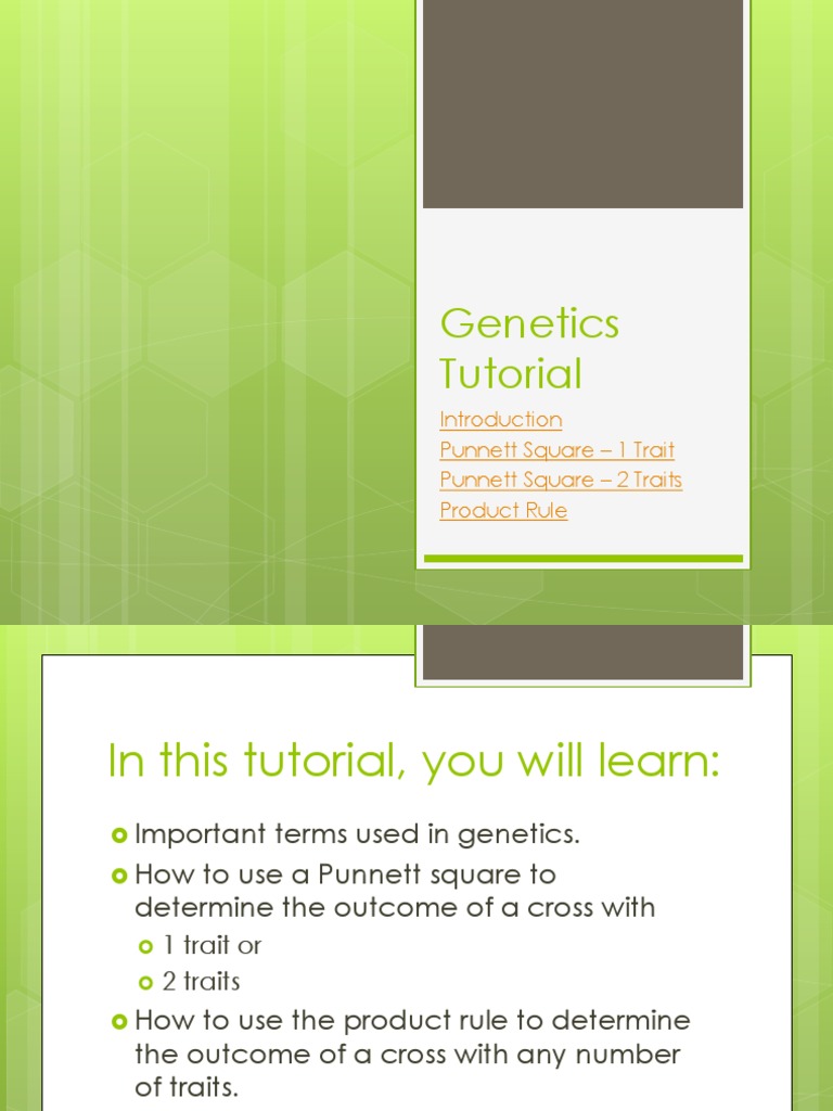 Genetics Tutorial: Punnett Square - 1 Trait Punnett Square - 2 Traits ...