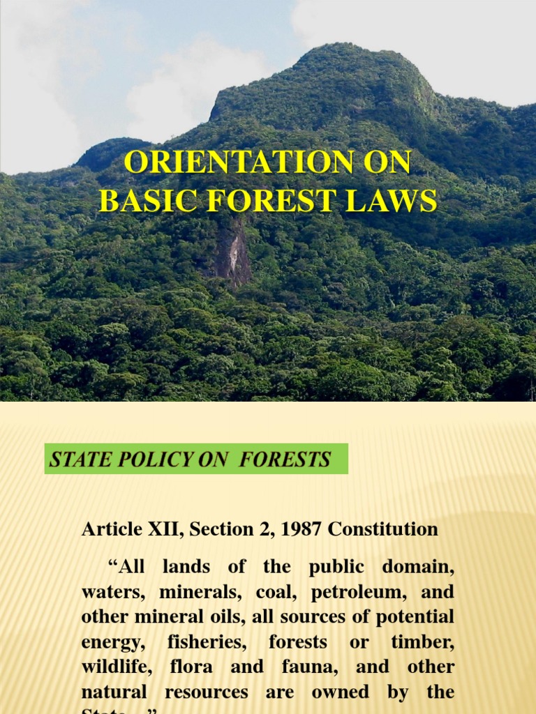 BASIC FORESTRY LAWS Latest 2019 | PDF | Forestry | Fine (Penalty)