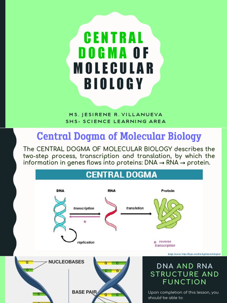 Central Dogma of Molecular Biology.pdf | Dna Replication | Rna