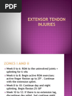 Modified Duran Protocol for Tendon Rehab | PDF | Anatomical Terms Of ...