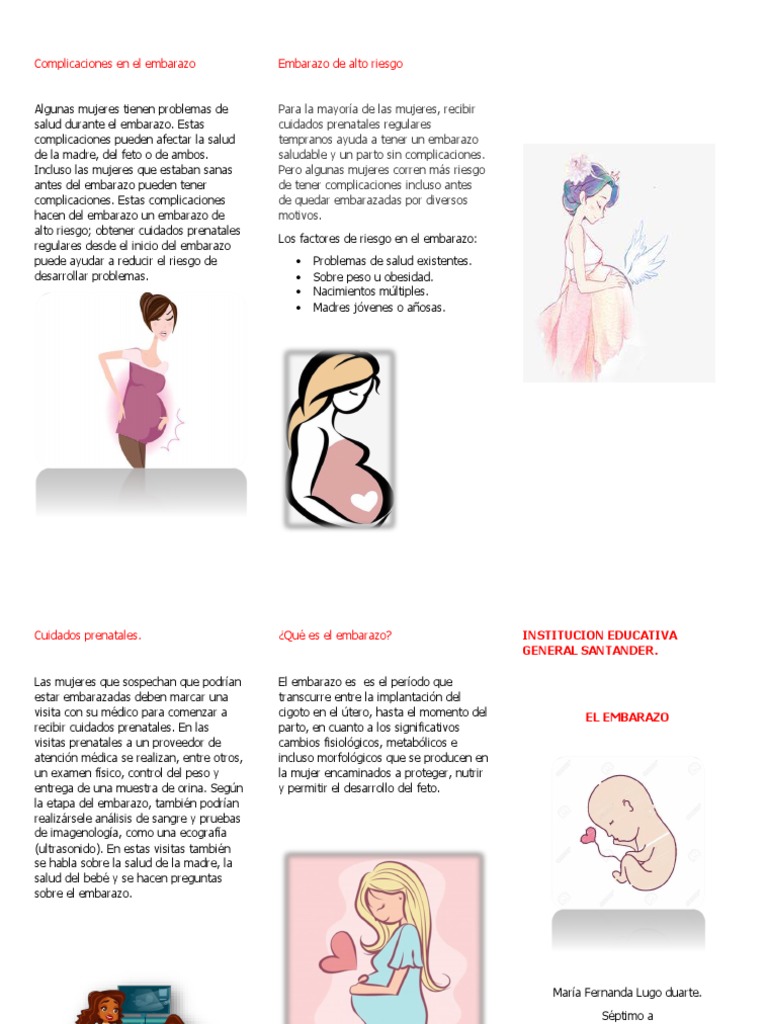 Folleto Mafe Tarea | PDF | El embarazo | Parto