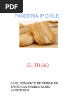 Defectos de Los Panes | PDF | Panes | Alimentos