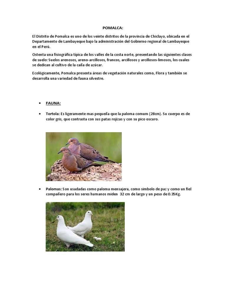 Fauna de Pomalca | PDF