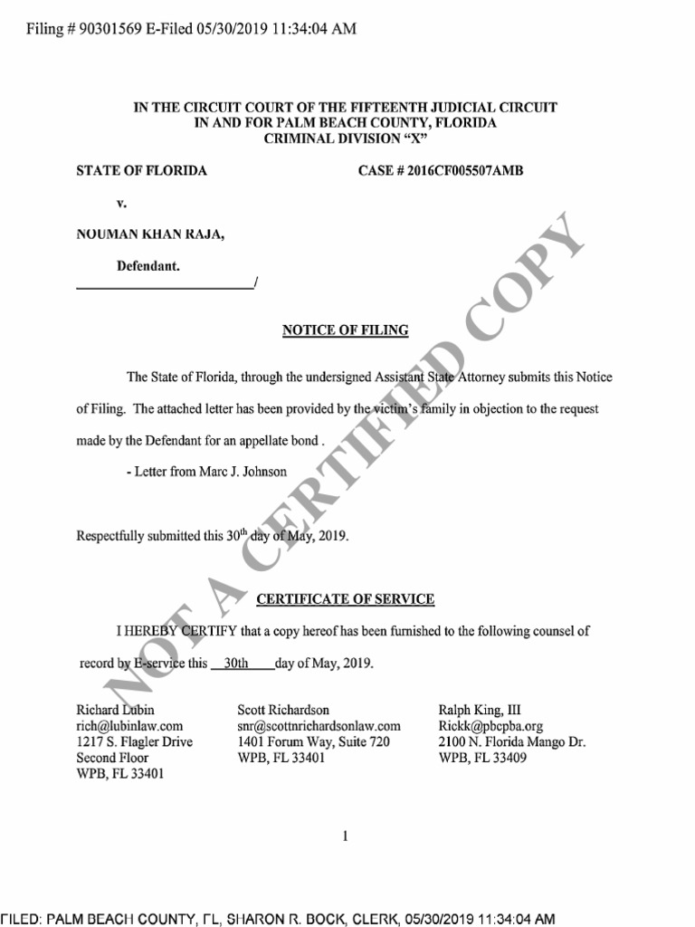 Letter Asking Judge To Deny Bond | PDF