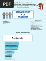 Variantes Anatómicas | PDF | Especialidades Medicas | Medicina CLINICA