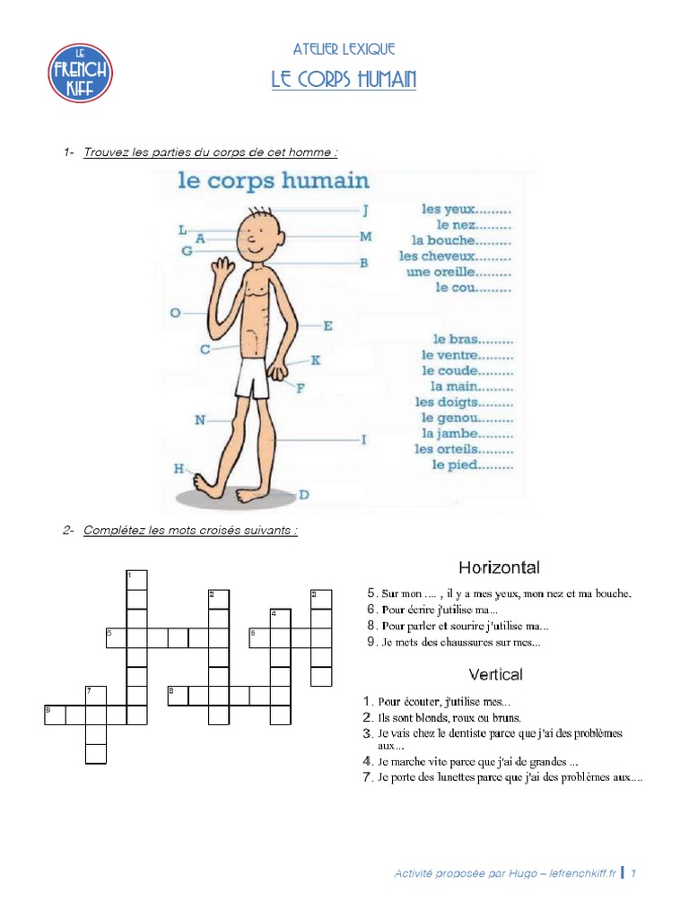 Atelier Lexique : Le Corps Humain | PDF