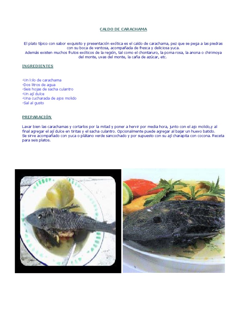 Caldo de Carachama | PDF