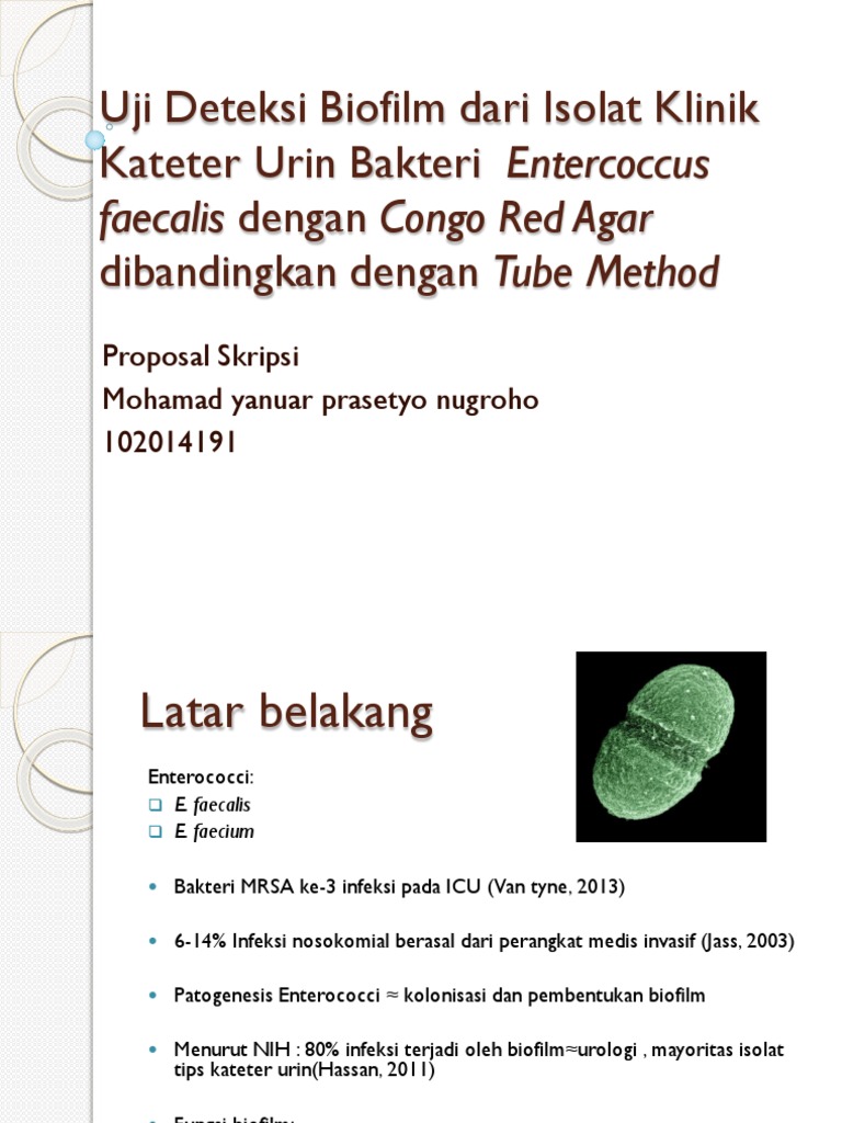 Biofilm | PDF | Biofilm | Urinary Tract Infection