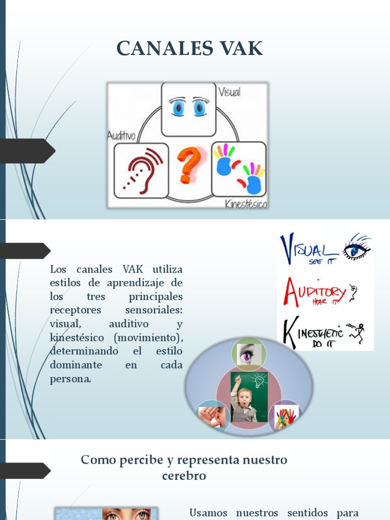 Canales Vak | PDF | Cerebro | Percepción visual