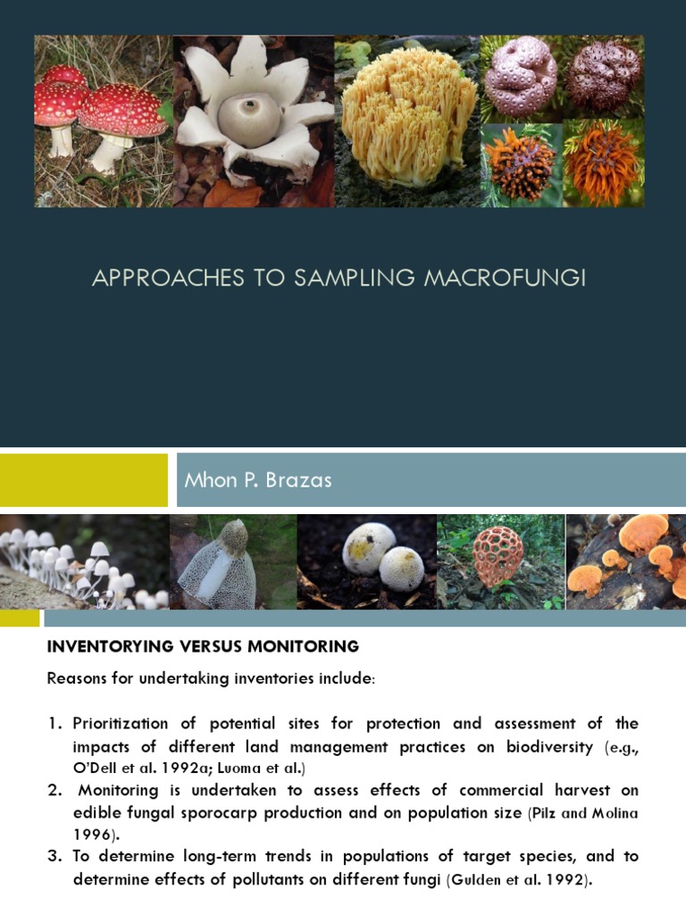 Approaches To Sampling Macrofungi | PDF | Sampling (Statistics ...