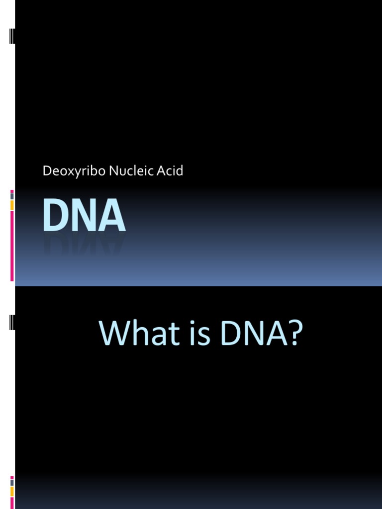 Deoxyribo Nucleic Acid | PDF