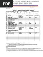 Raport Activitate Model | PDF