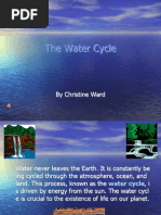 3rd Grade - Water Cycle Worksheet | PDF