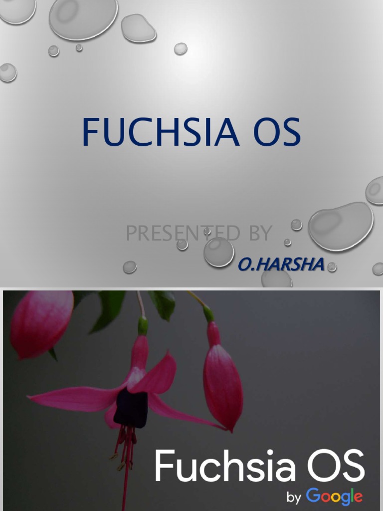 Fuchsia 4 PDF | PDF | Linux | Operating System