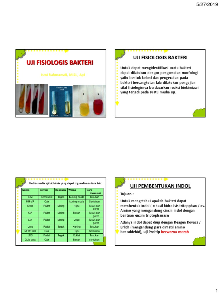 Uji Fisiologis Bakteri | PDF