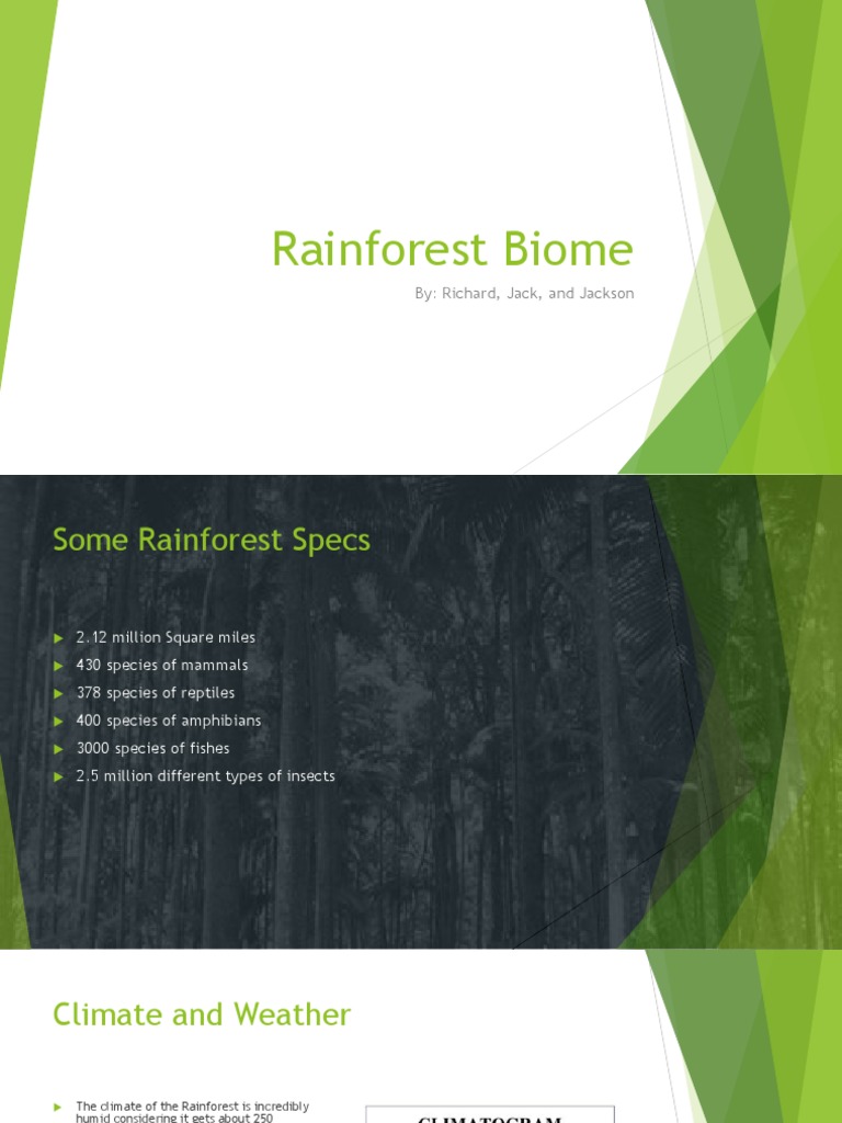 Rainforest Climate and Survival Guide | PDF | Rainforest | Precipitation