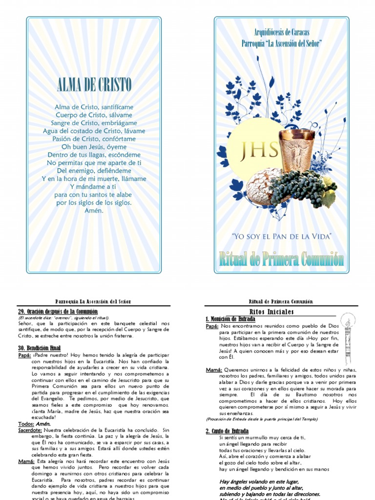 Guiones de Primera Comunion de La Parroquia La Ascesion Del Senor Ccs PDF | PDF | eucaristía ...
