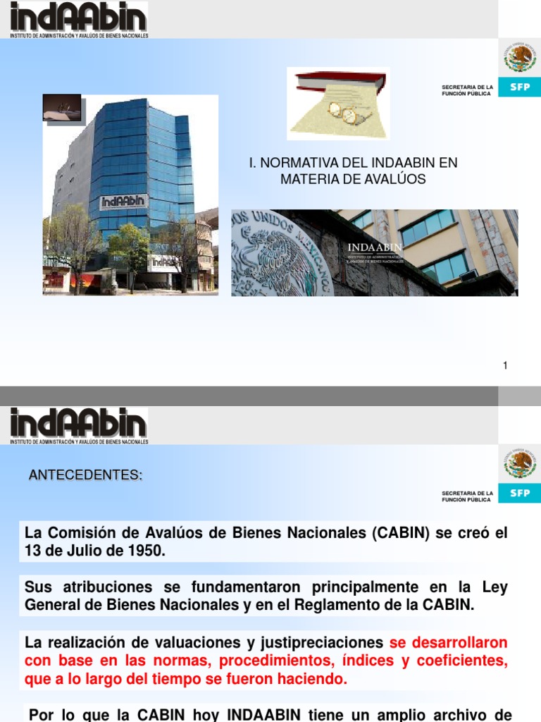 Normativa Del Indaabin | PDF | Regulación | Gobierno