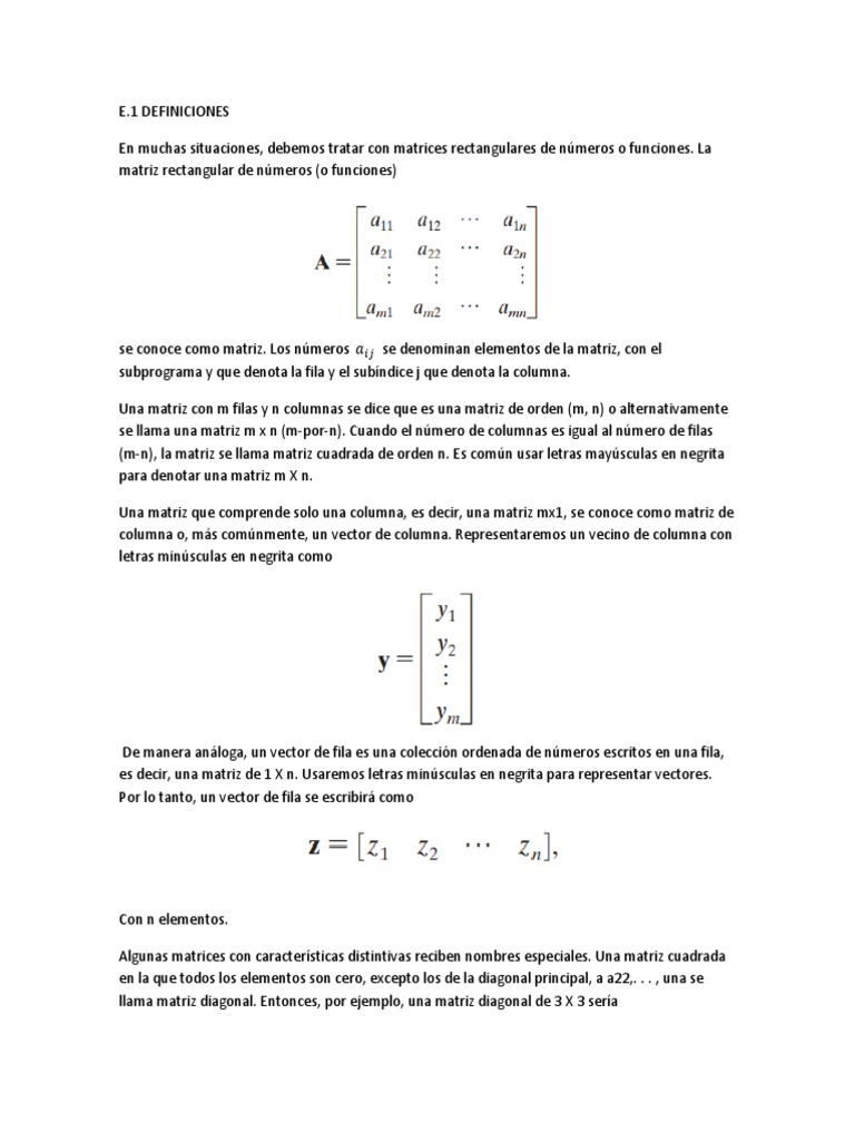 Traduccion Ingles | PDF | Determinante | Matriz (Matemáticas)