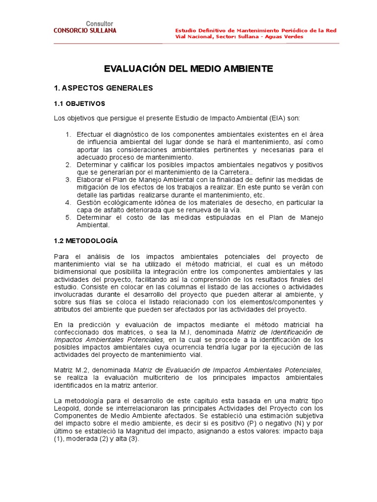 Resumen EIA | PDF | Evaluación de impacto ambiental | Entorno natural