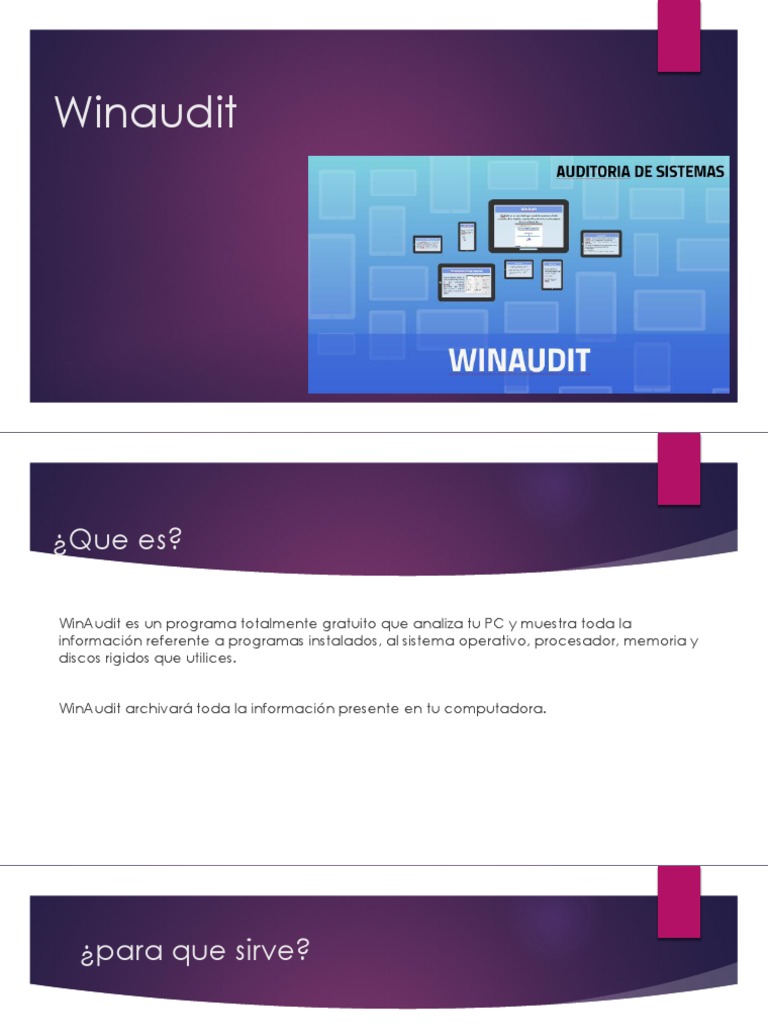 Win Audit | PDF