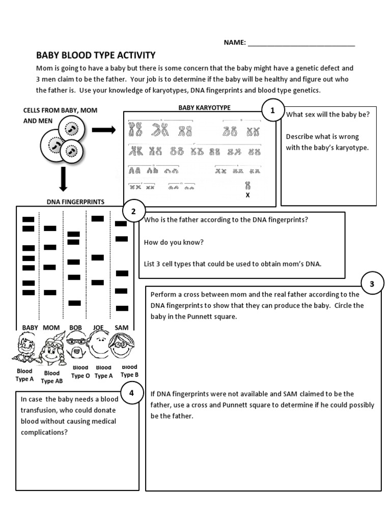 Baby Blood Type Activity: Cells From Baby, Mom and Men Baby Karyotype ...